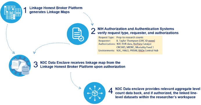 N3C Clinical Cohort